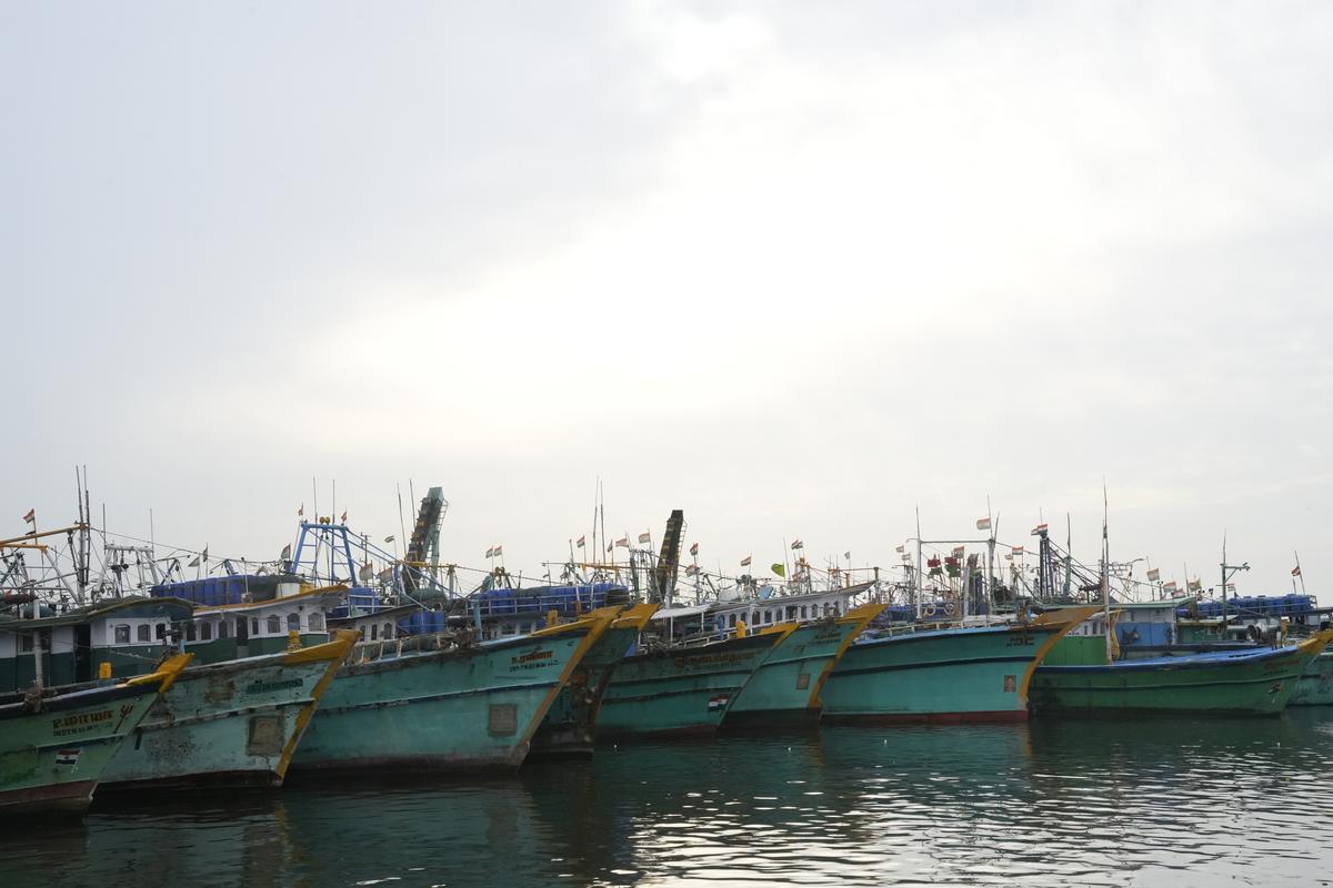 A trail through Kasimedu in Chennai with fresh fish fry and a side of ...