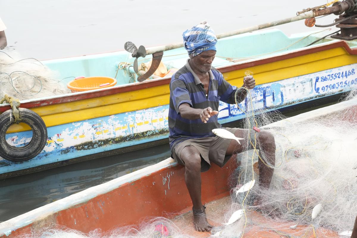 A trail through Kasimedu in Chennai with fresh fish fry and a side of ...