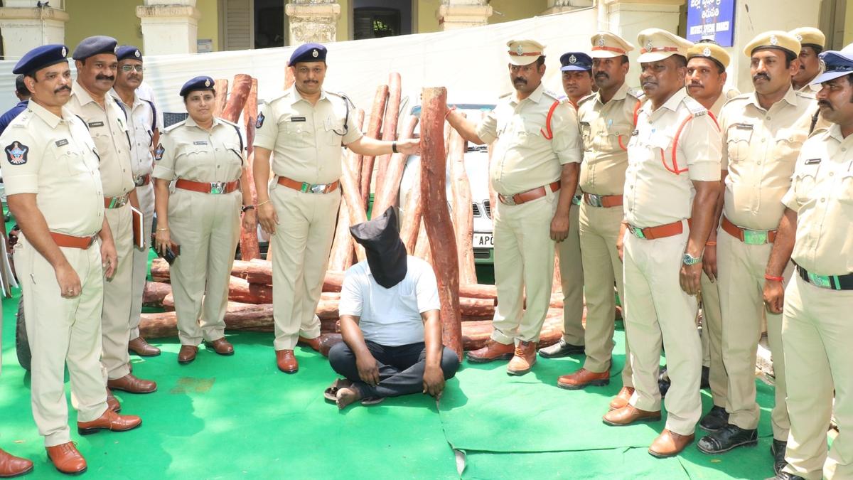 Red sanders logs worth ₹1 crore seized in A.P., one arrested - The Hindu