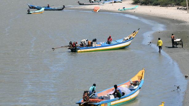 Pulicat lake mooted as eco-tourism destination - The Hindu