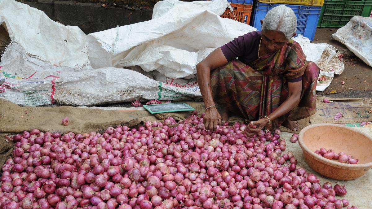 Onion price soars at wholesale market in Erode - The Hindu