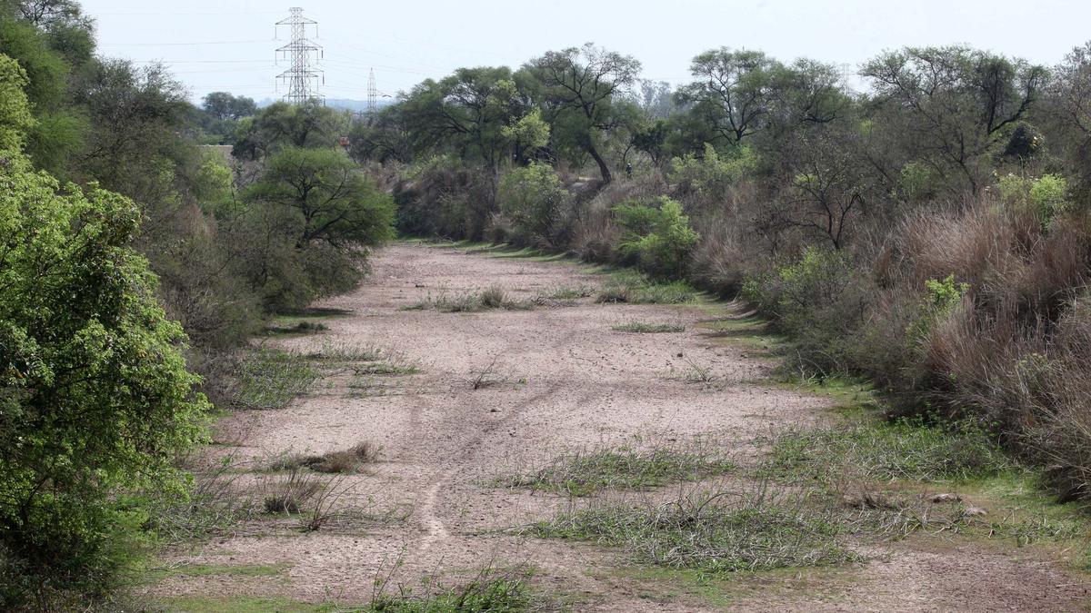 SC asks Punjab and Haryana CMs to meet within the month on SYL canal ...