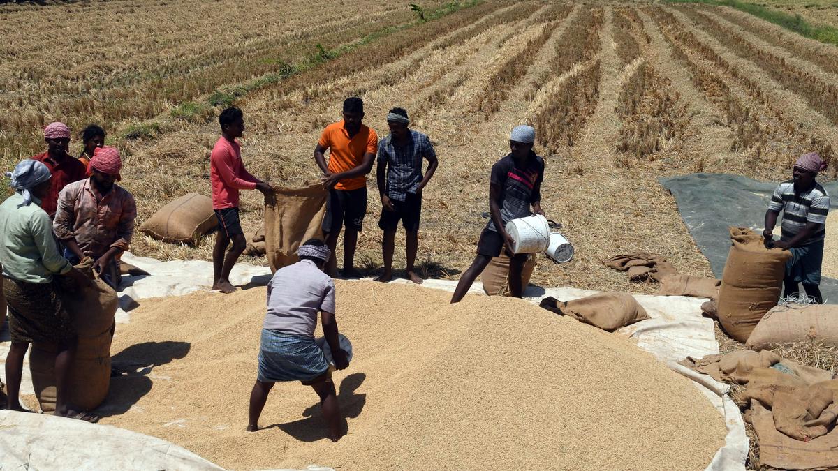 ₹14,000 crop loan and ₹1,500 crore for allied activities through co ...