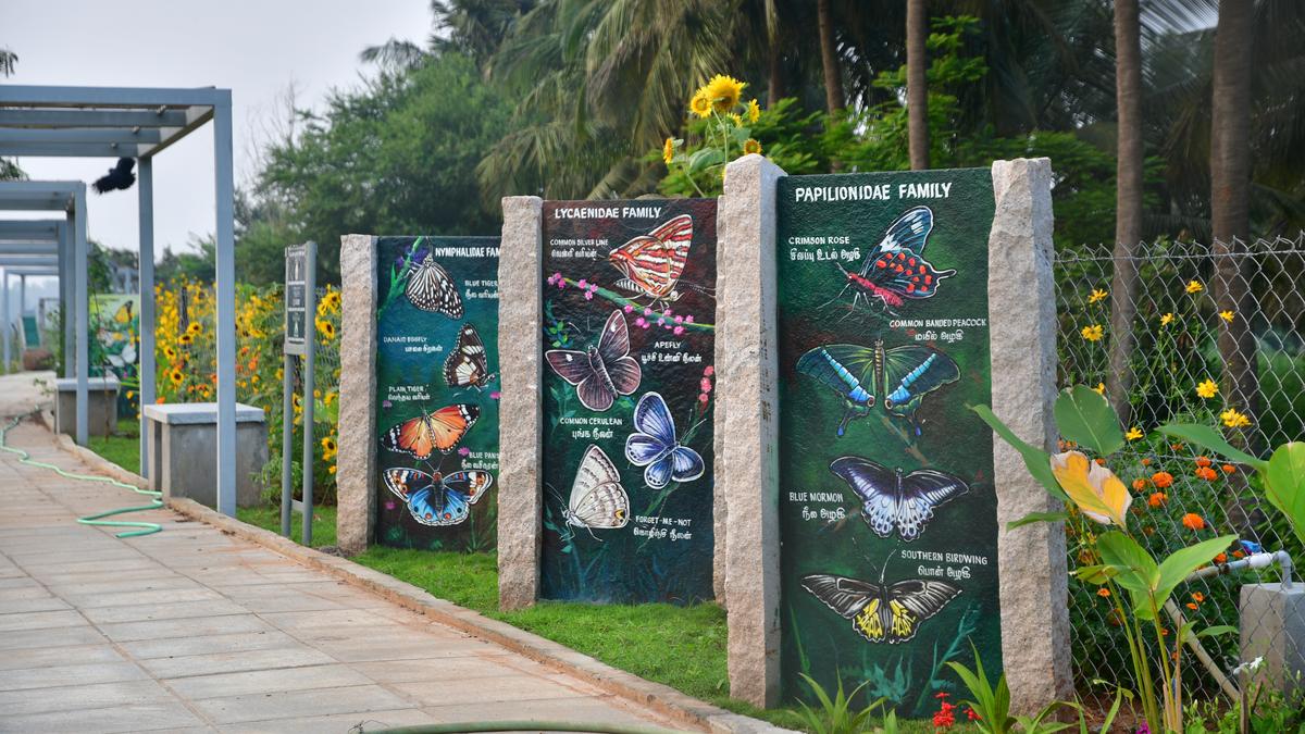 Coimbatore Lakes,Parks&Environment | Page 66 | SkyscraperCity Forum