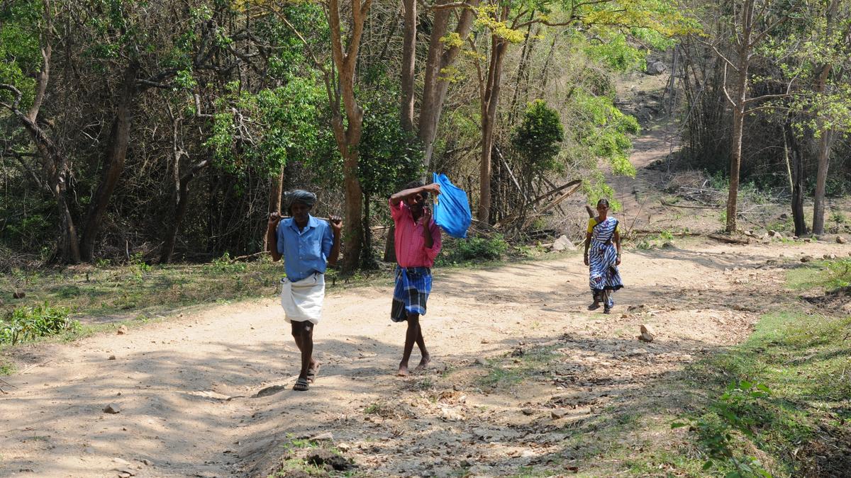 Proposal submitted to T.N. Government to lay roads to remote hamlets in ...