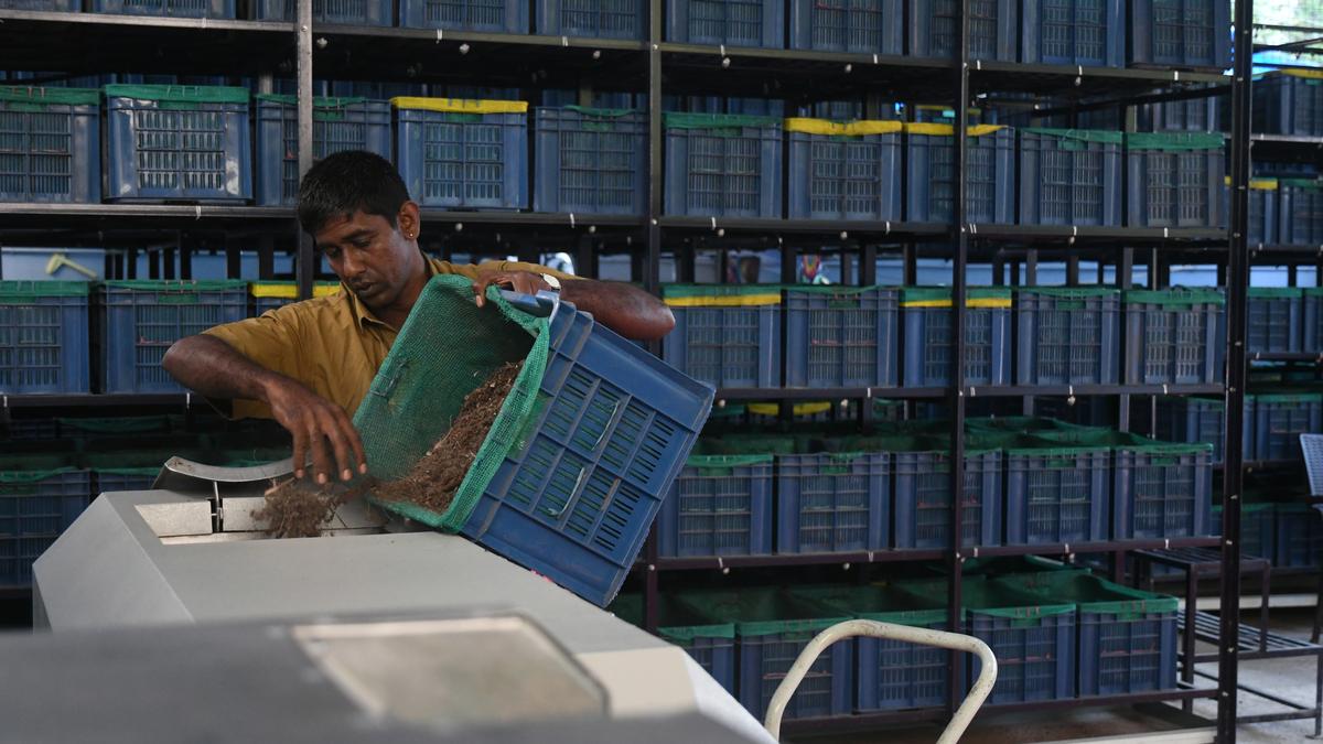 New waste-to-manure treatment plant opened in Kochi - The Hindu