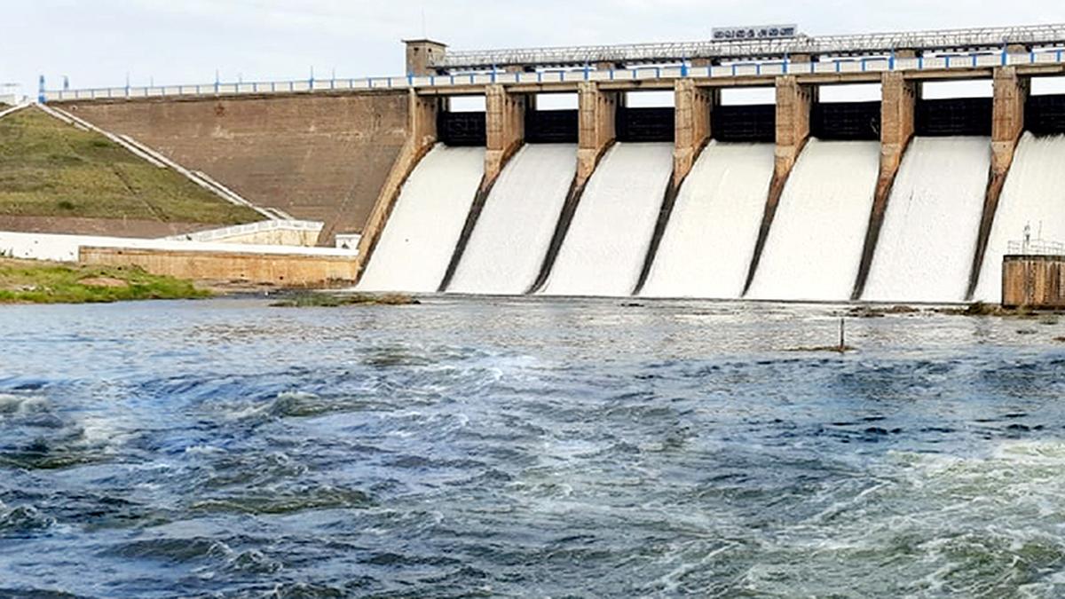 Water level in Mullaperiyar dam stands at 136.25 feet - The Hindu