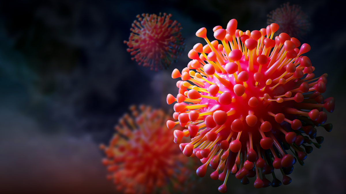 Can the Covid-19 pandemic end soon? - The Hindu