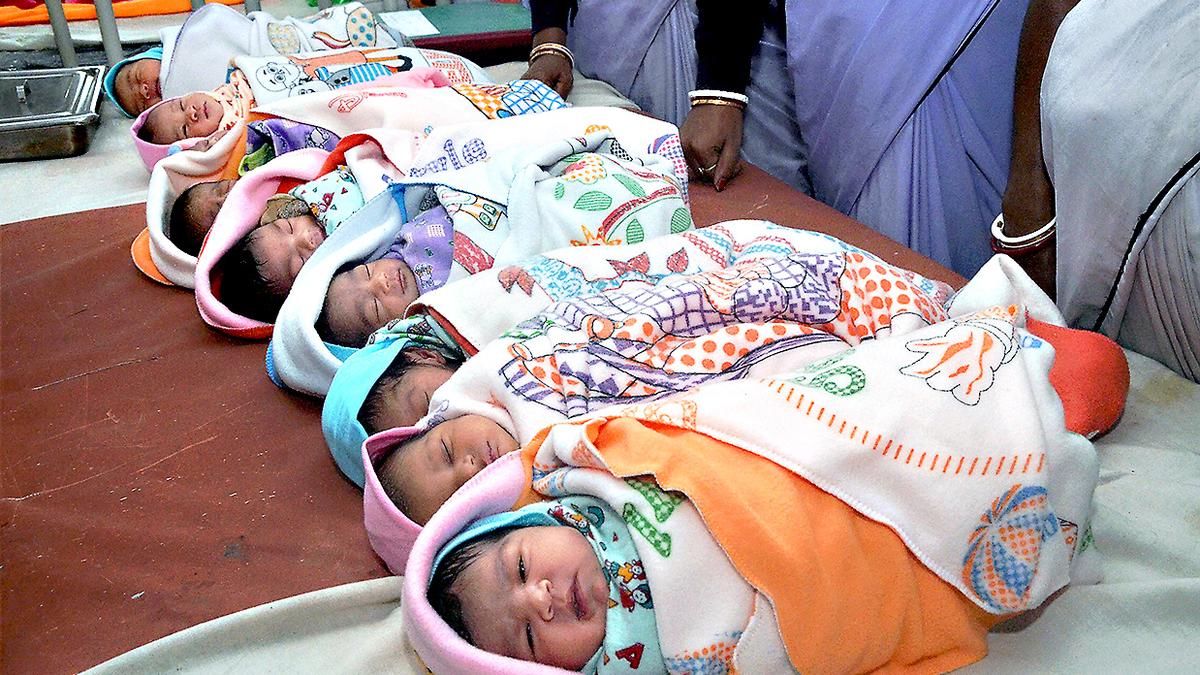 Birth, death reporting to be automated - The Hindu