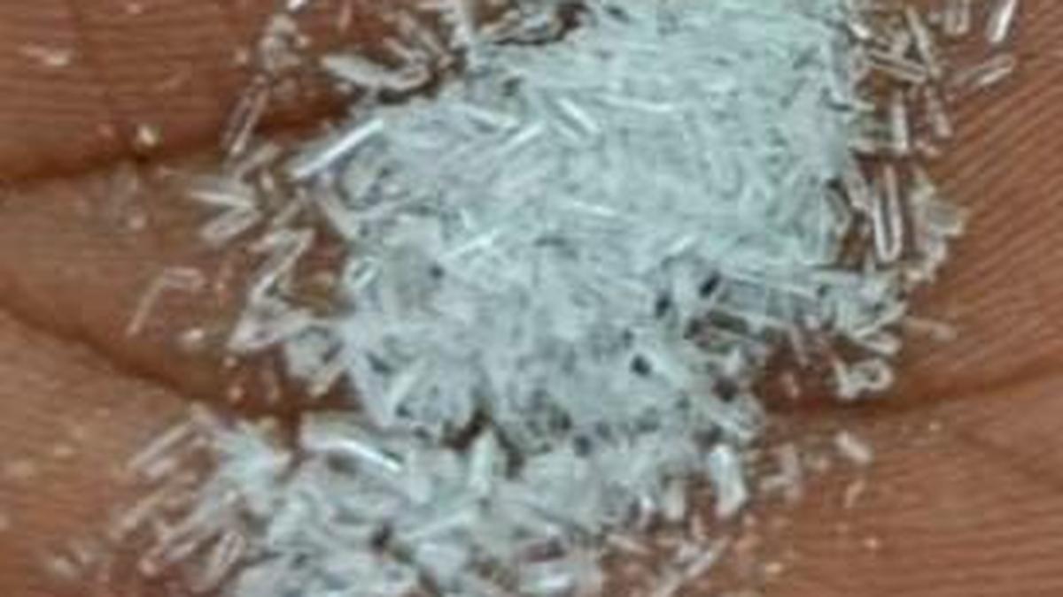 Chennai police arrest two for selling methaqualone - The Hindu