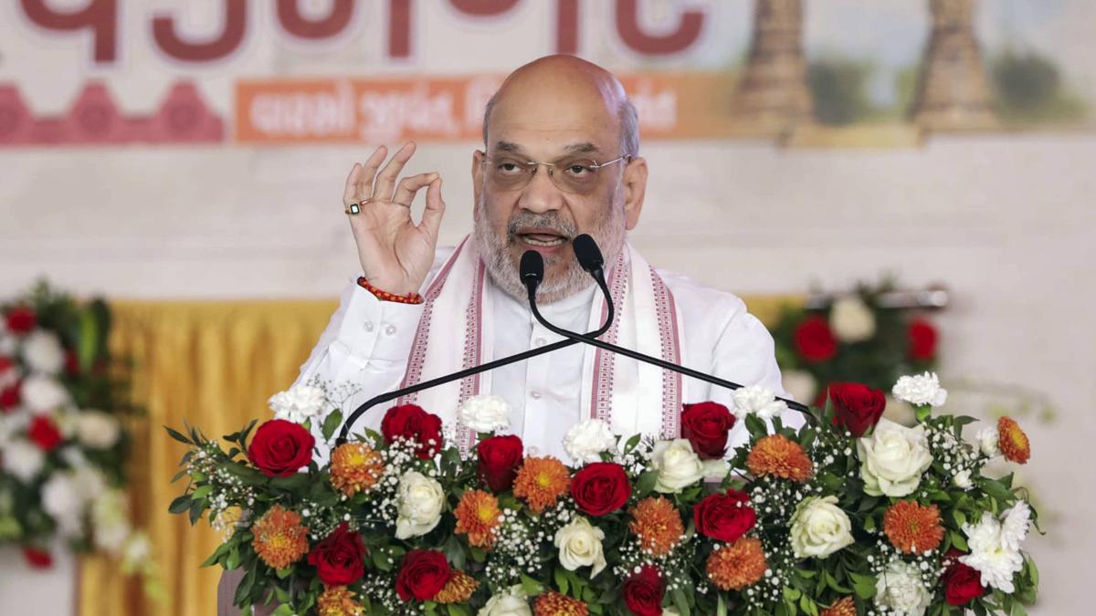 Inter-Ministerial team to probe cause of mysterious deaths in Jammu’s Rajouri: MHA - The Hindu