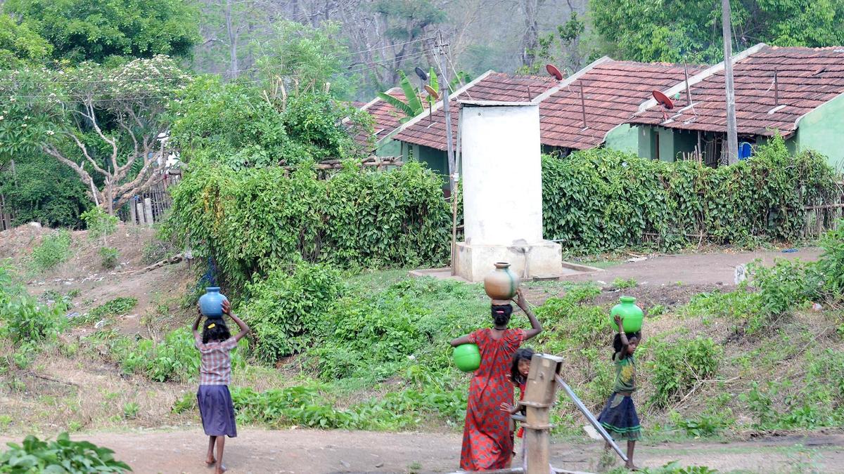 PDP certificate sought for tribals on voluntary relocation from tiger reserves and wildlife ...