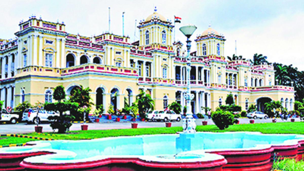 Two leopards ‘spotted’ on CFTRI campus in Mysuru - The Hindu