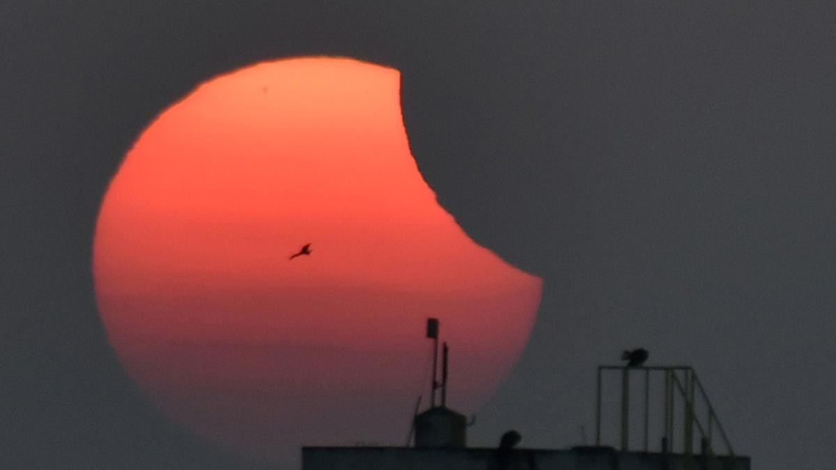 Lunar eclipse on November 8, will only be partially visible in ...