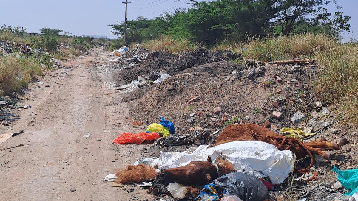 Watch | Mud road close to Coimbatore airport runway turns dumping site ...