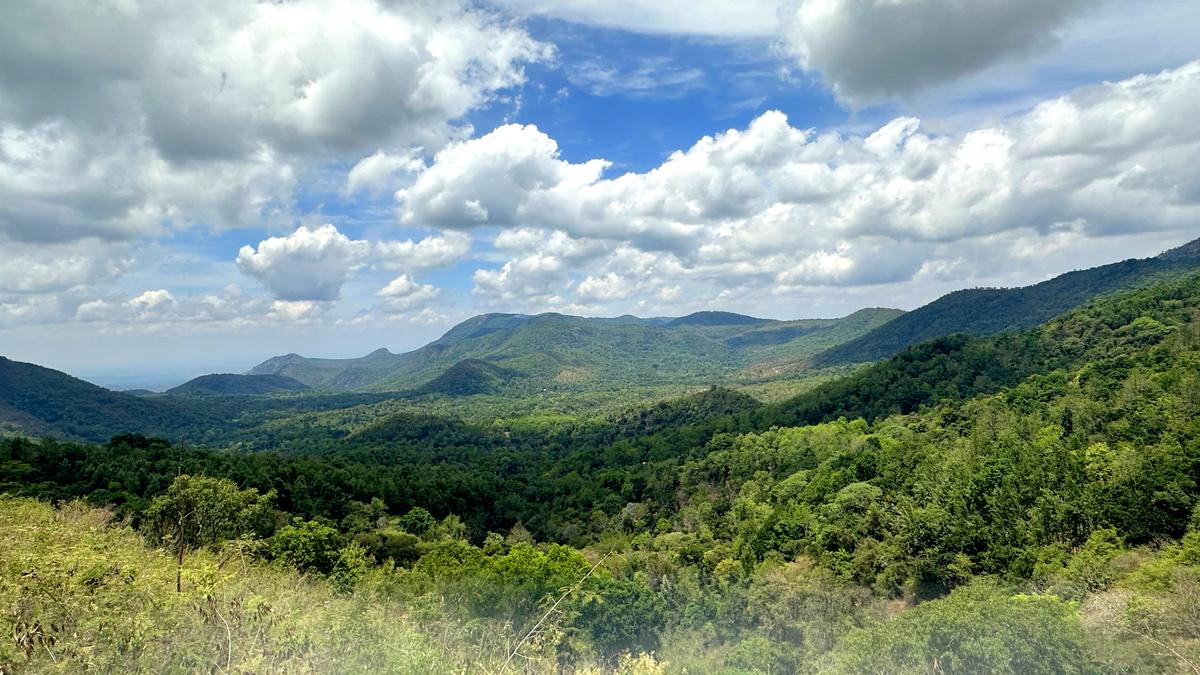 Plea to declare Kesampatti area as biodiversity heritage site - The Hindu