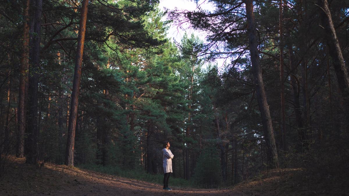 Price of invisibility | Review of Amrita Mahale’s Real Life - The Hindu