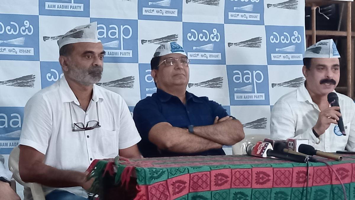 AAP being expanded by involving professionals, says Bhaskar Rao - The Hindu