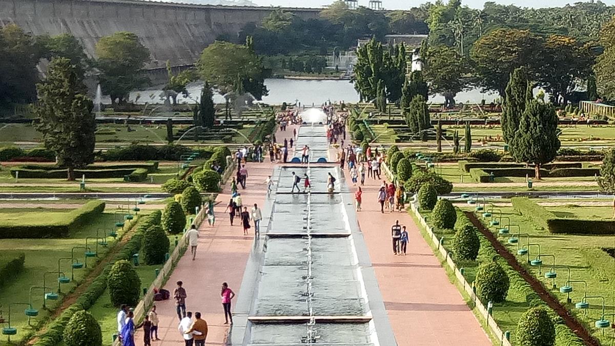 Leopard spotted again near Brindavan Gardens - The Hindu