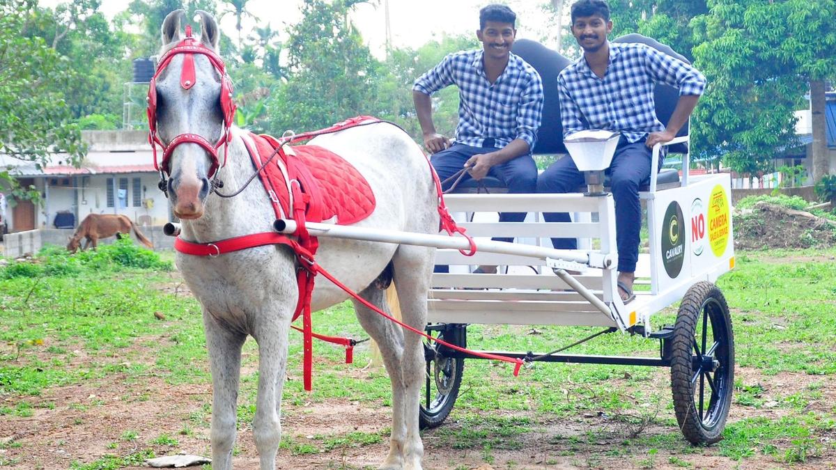 Twin brothers from Kottayam embark on horse-cart ride across Kerala ...