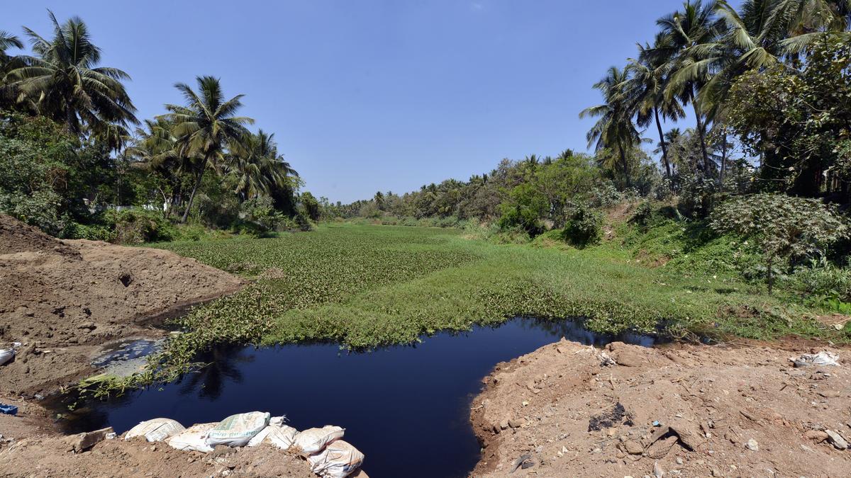 A river runs dry - The Hindu