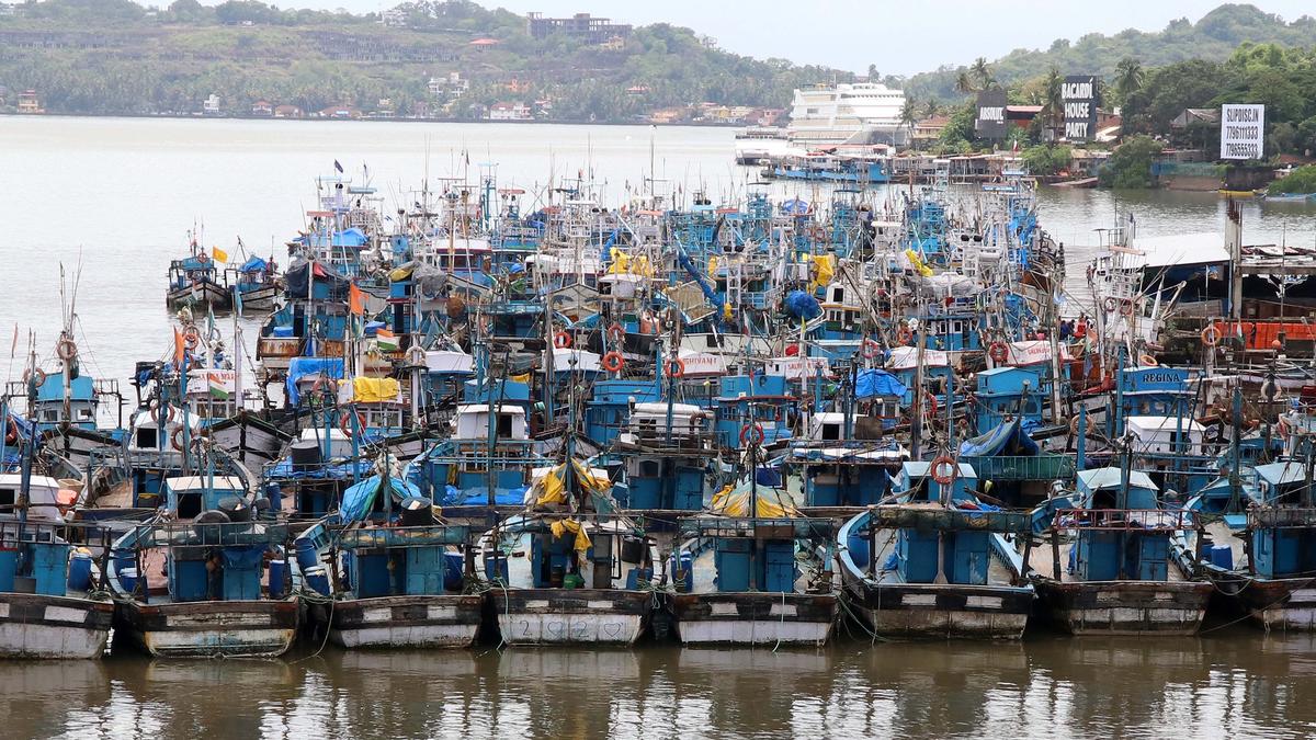 Dengue, cholera cases on rise at Goa jetty, says State Health Minister ...