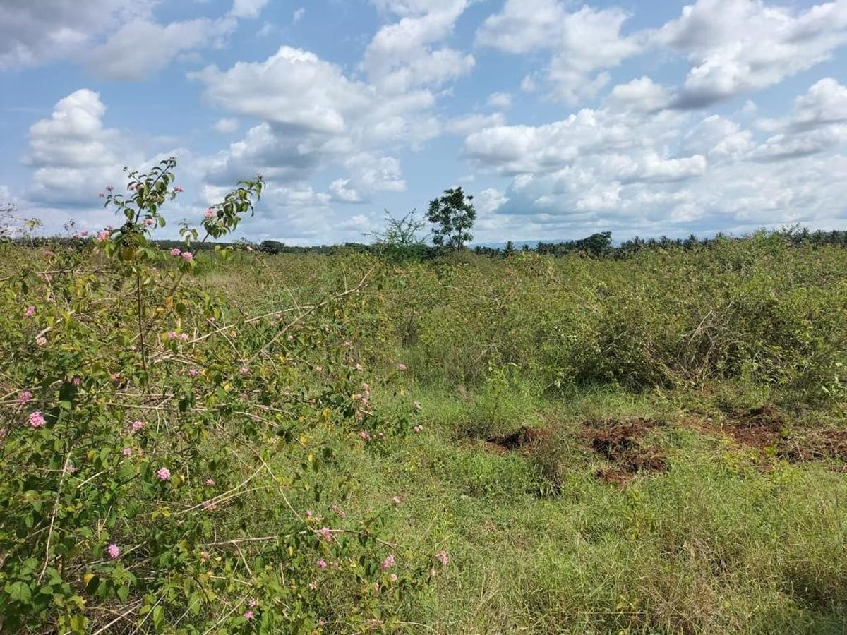 Forest dept. to deploy drones to track tiger movement at Talavadi in T ...