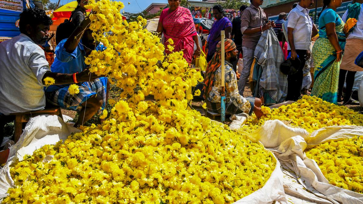 Pongal celebration amid hike in price of flowers, vegetables and fruits ...