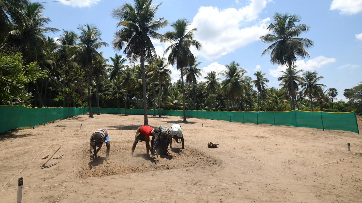 CM inaugurates ninth phase of archaeological excavations at Keeladi ...