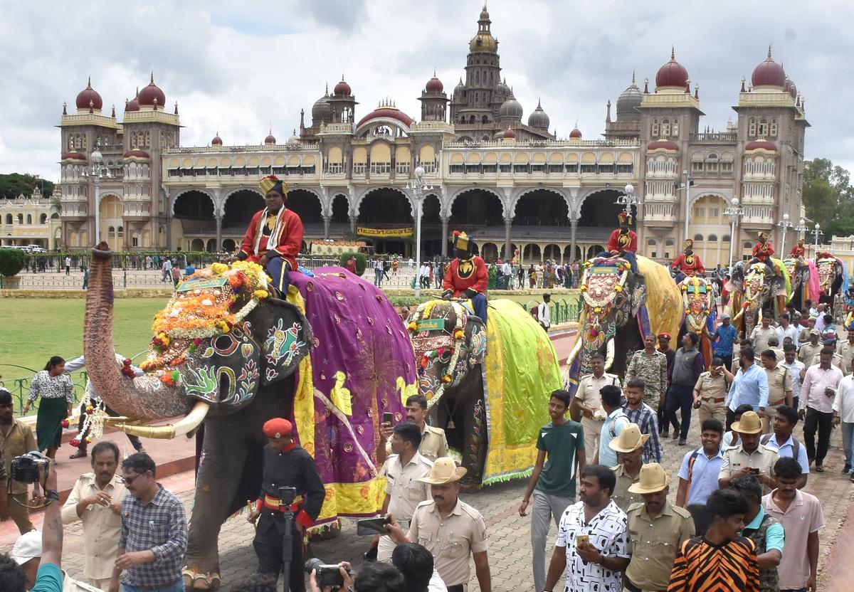 Dasara jumbos receive ceremonial reception at Mysore palace - The Hindu