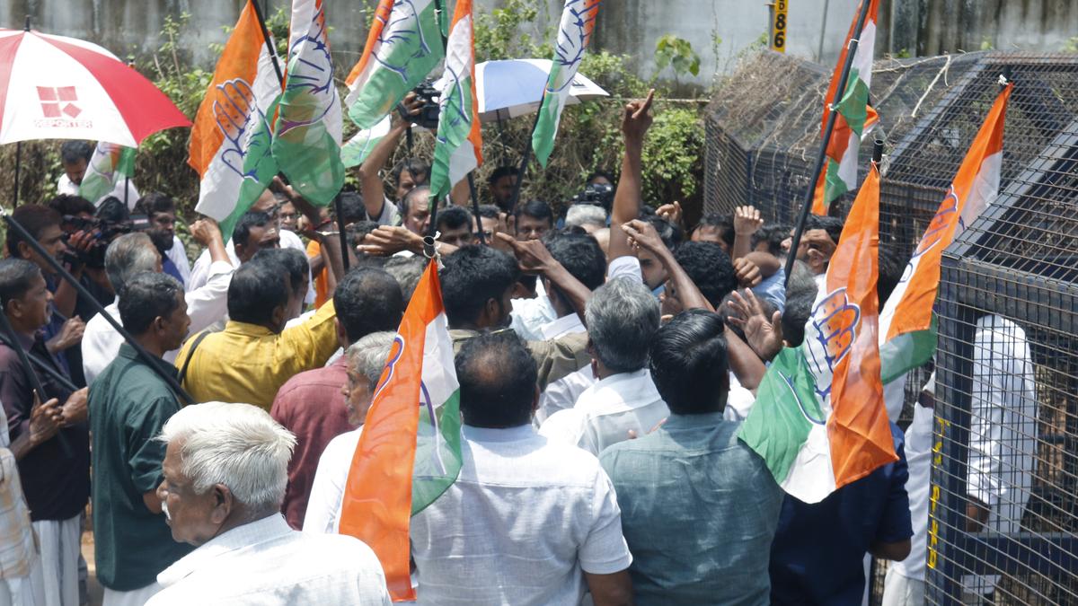 Mundoor elephant attack: probe to determine lapses, if any - The Hindu