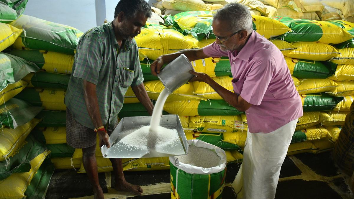 Farmers urge State government to set up sago factory in Salem - The Hindu