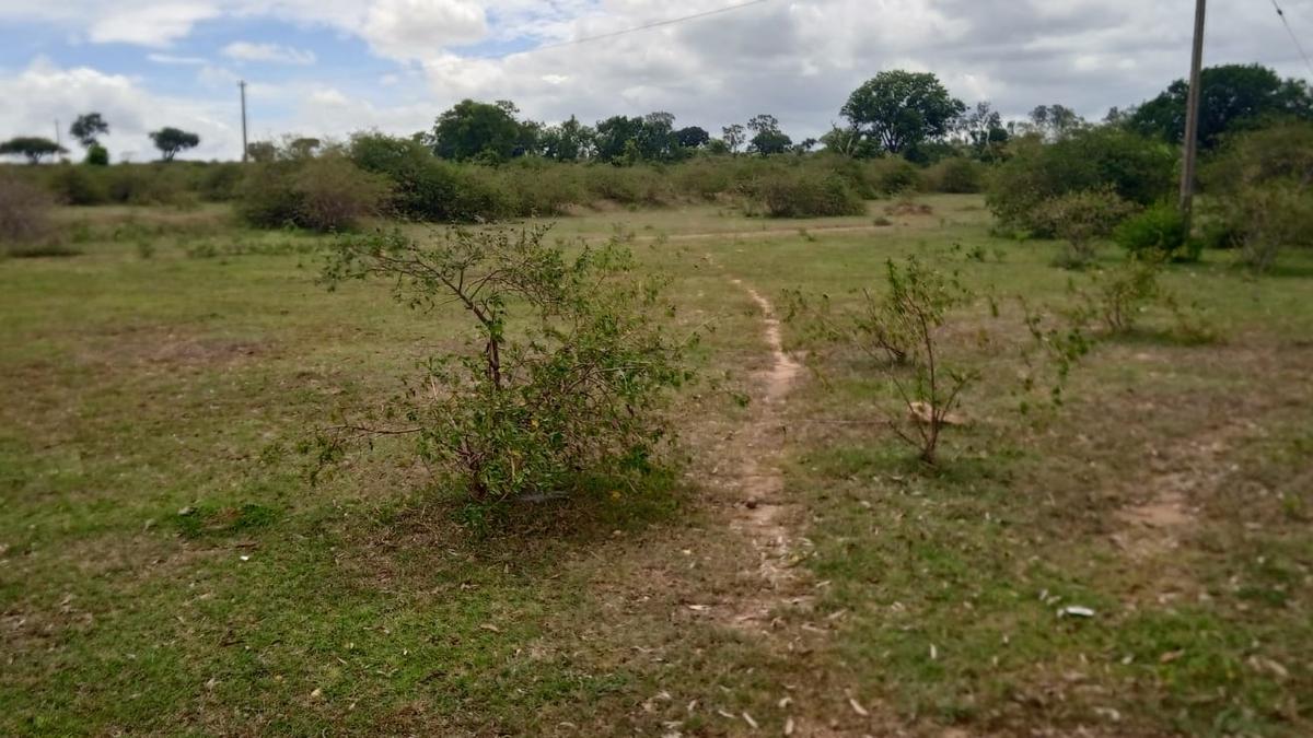 Call to lease out unutilised portion of government farm at Talavadi in ...