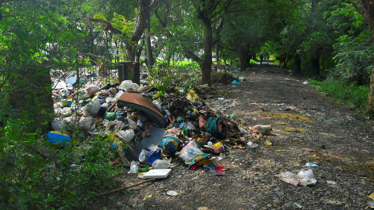 Solid waste management to be rolled out in rural areas - The Hindu