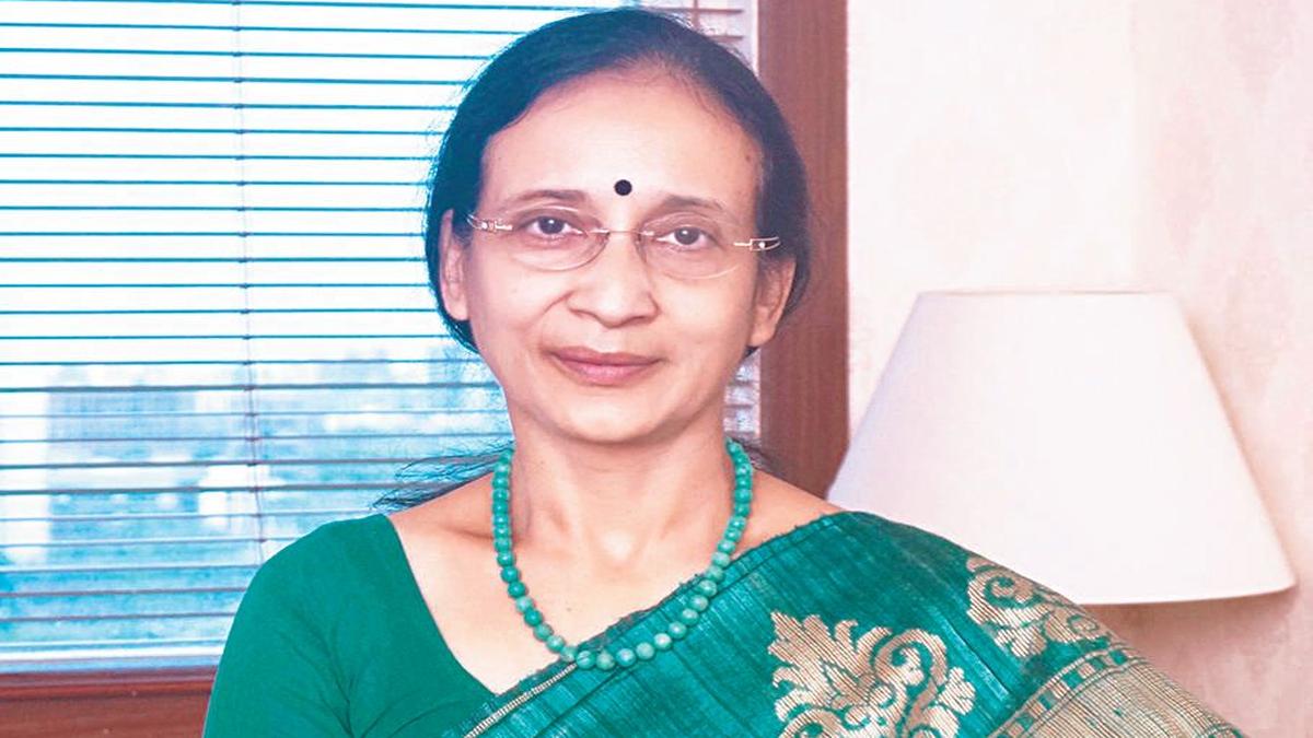 Interview with Anuradha Rao, MD and CEO, SBI Mutual Fund - The Hindu