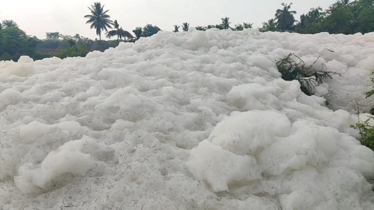 Toxic foam surfaces on Thenpennai river after water release from ...