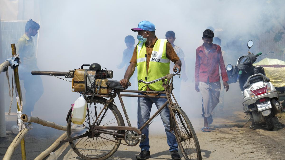 MCD hands over regularisation letters to 310 sanitation workers - The Hindu