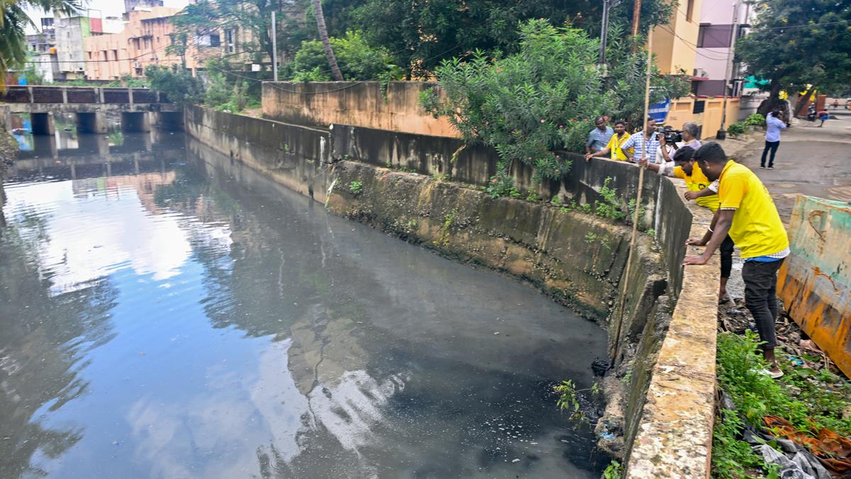 Chennai Corporation plans new link between Virugambakkam canal and ...