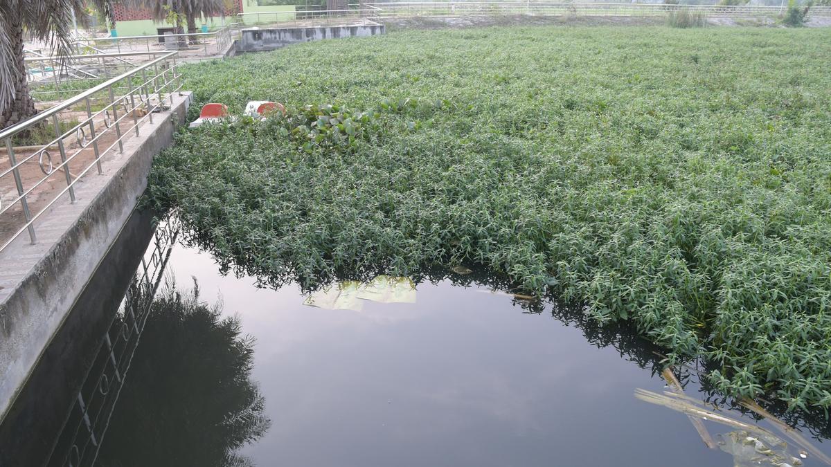 Erode Corporation to strengthen Ellapalayam Lake bunds - The Hindu