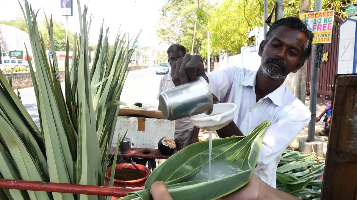 Summer arrives but at a price - The Hindu