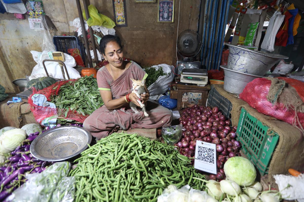 Stories of Saidapet’s Razack Market in pixels - The Hindu