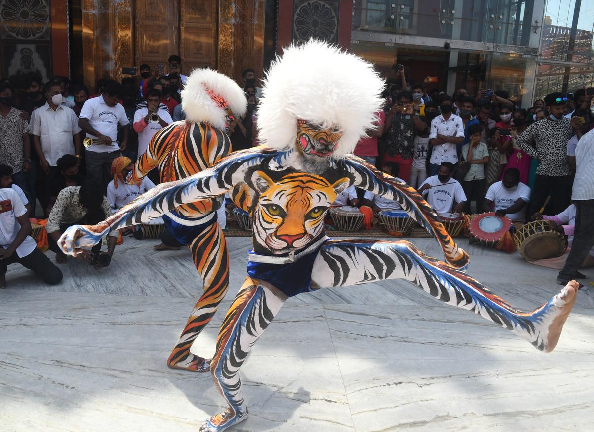When tigers dance for Dasara - The Hindu