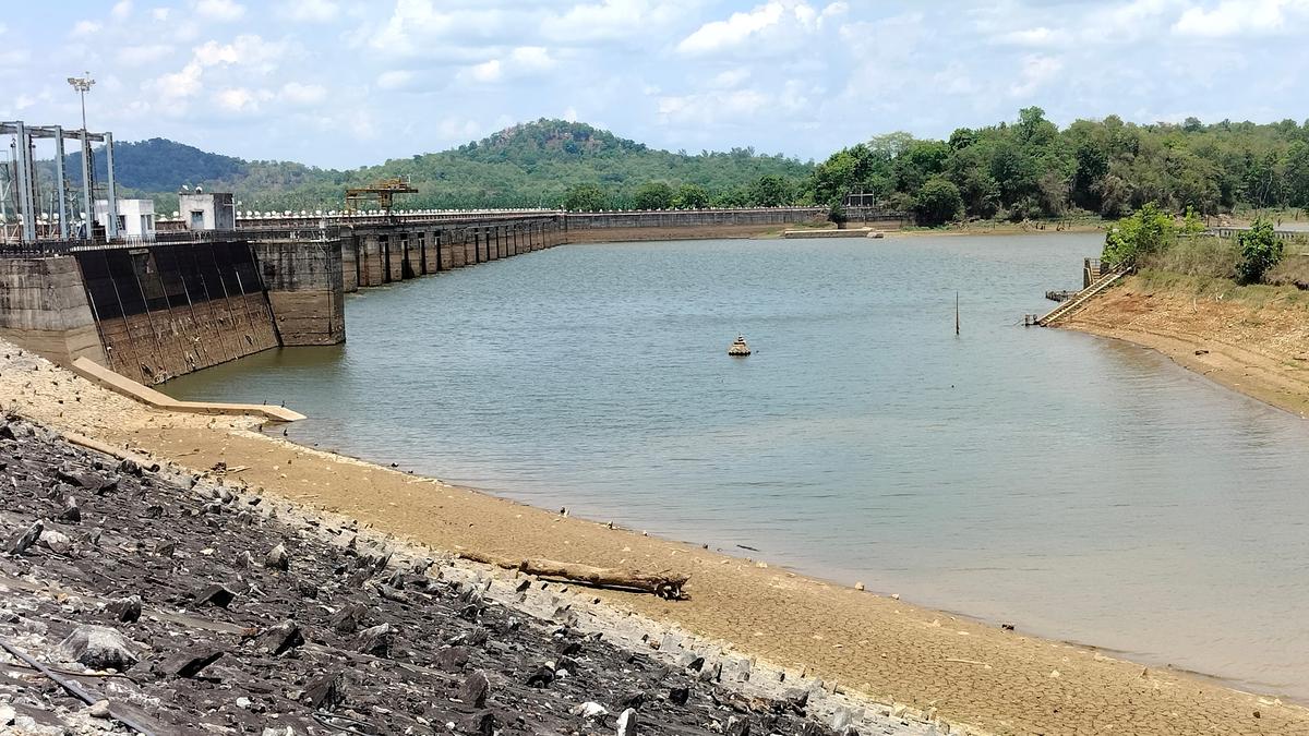 Malnad region receives rain - The Hindu