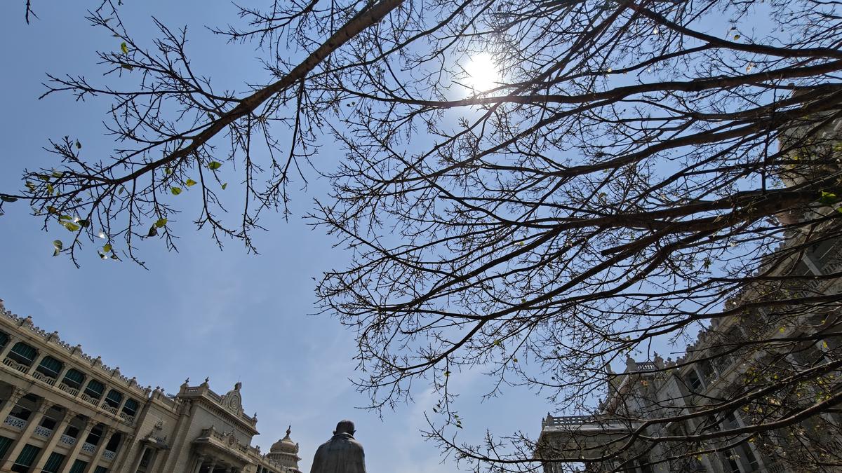 Warmer days ahead likely for Benglauru - The Hindu