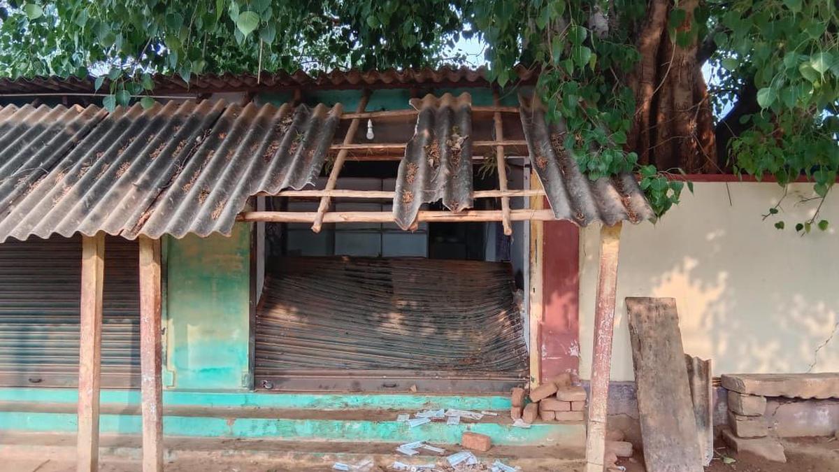 Wild elephants damage grocery store near Coimbatore, empty provisions ...