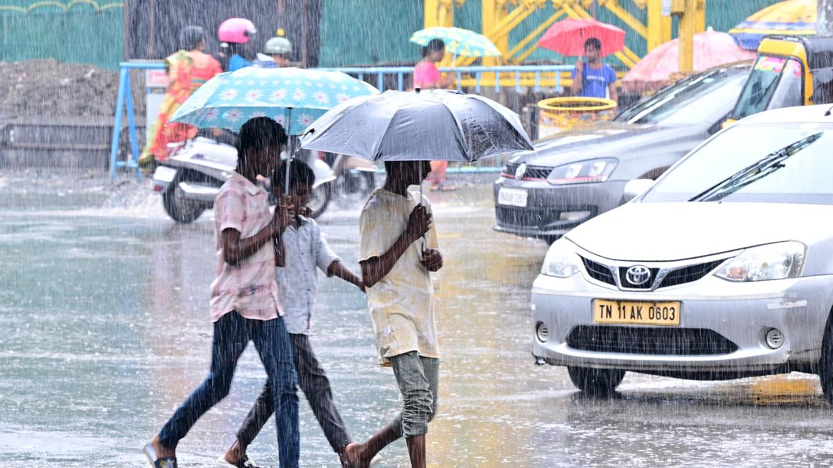 Chennai rains: School holiday declared in Chennai amid heavy rainfall forecast on November 12 ...