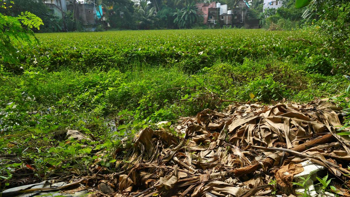 Rampant encroachments threaten three historic temple ponds in Bahour ...