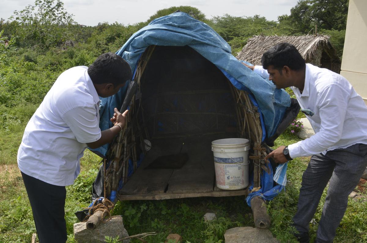 The tragedy of a tradition in Karnataka: Newborn and mother have to ...