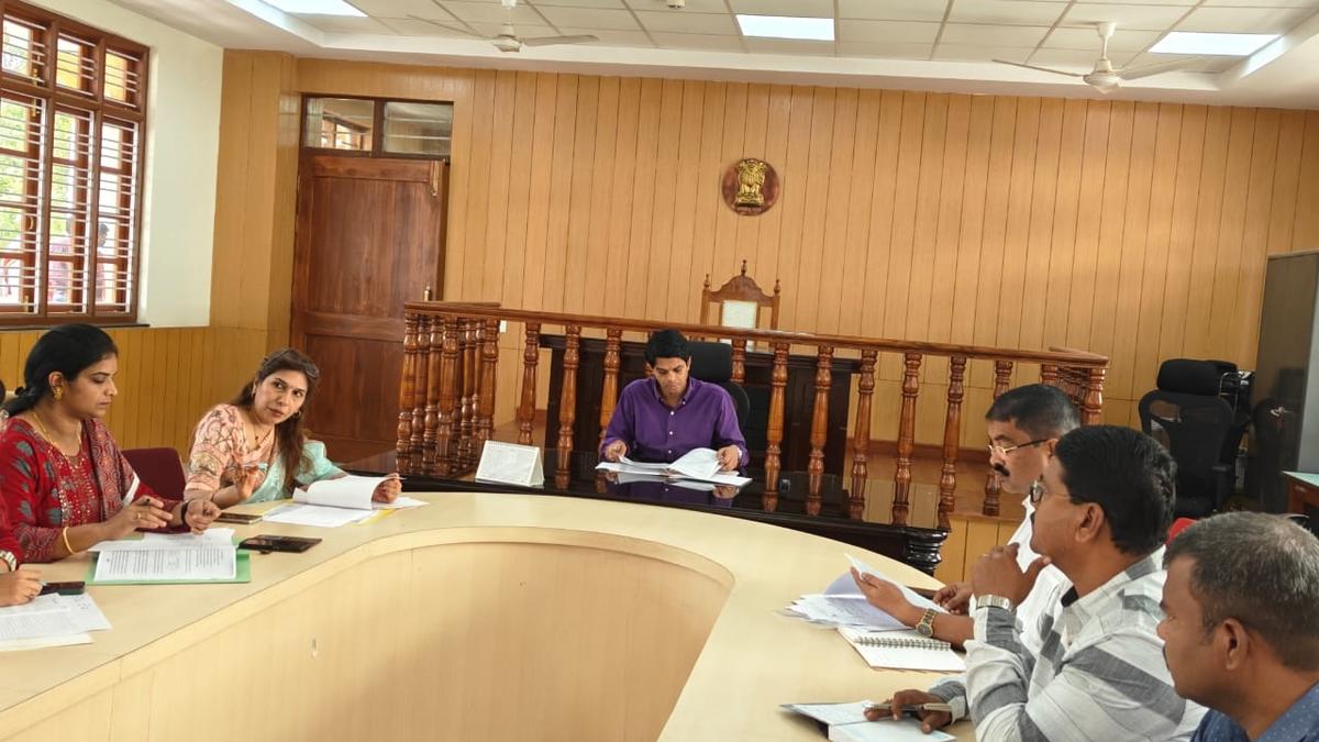 Ragi, paddy procurement under MSP to start soon in Mysuru - The Hindu