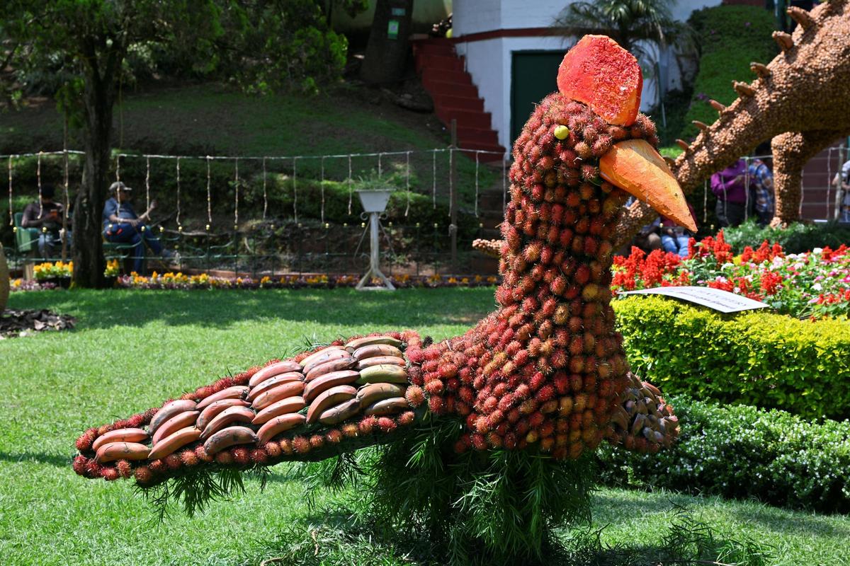 Fruit Show inaugurated at Coonoor - The Hindu